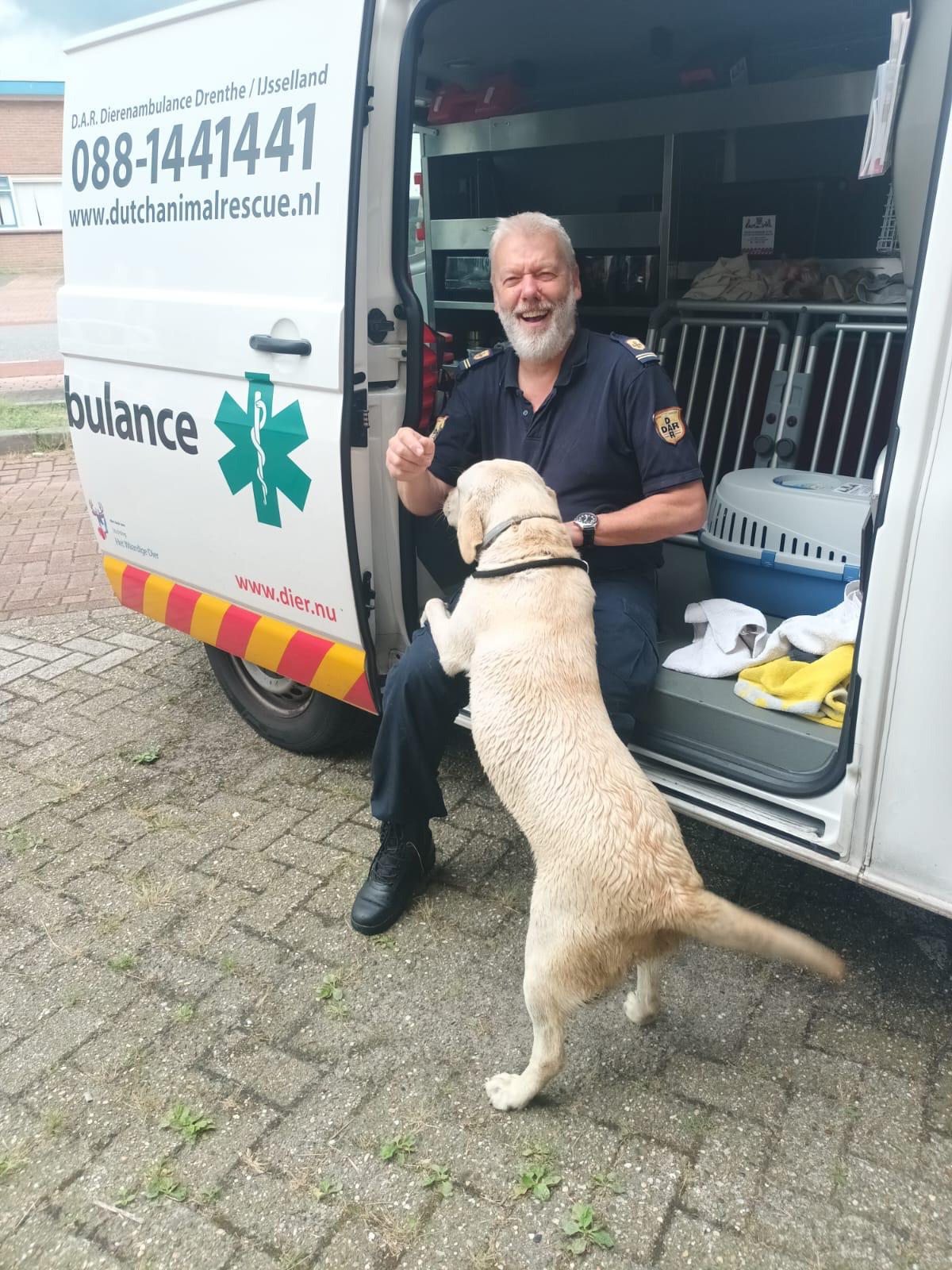 Over Dutch Animal Rescue - Dutch Animal Rescue